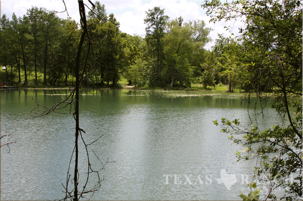 Ranch Real Estate, 750 Acres Medina County Image 3